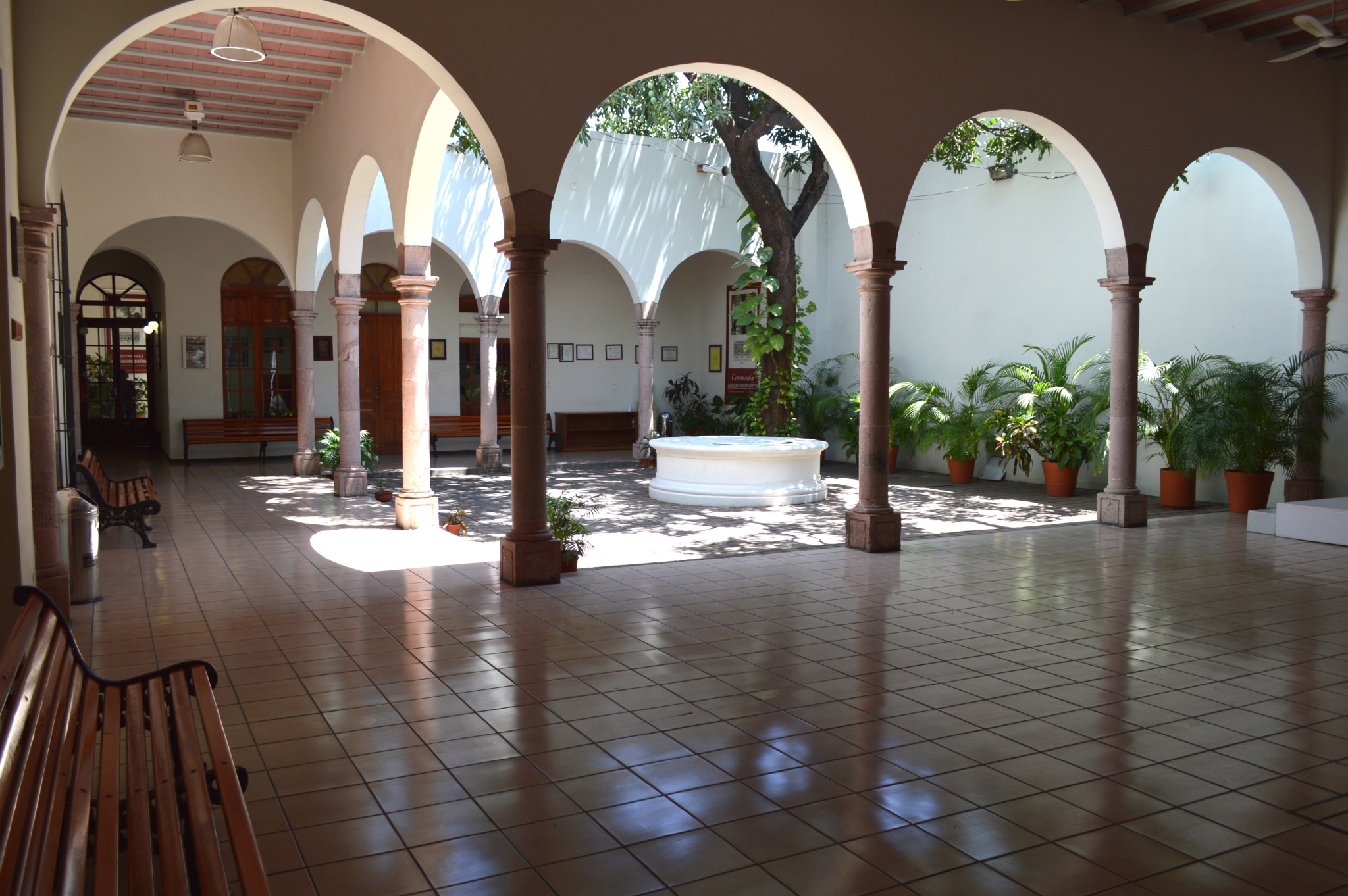 Nosotros Misión, visión y objetivo – El Colegio de Sinaloa