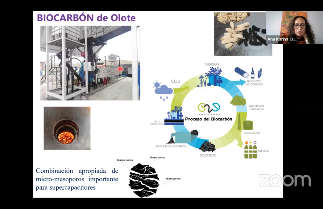 El biocarbón es una opción sustentable para obtener electrodos que se ...