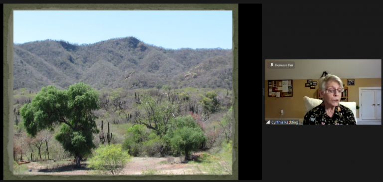 Cynthia Radding reflexiona sobre el paisaje como fuente de identidad ...