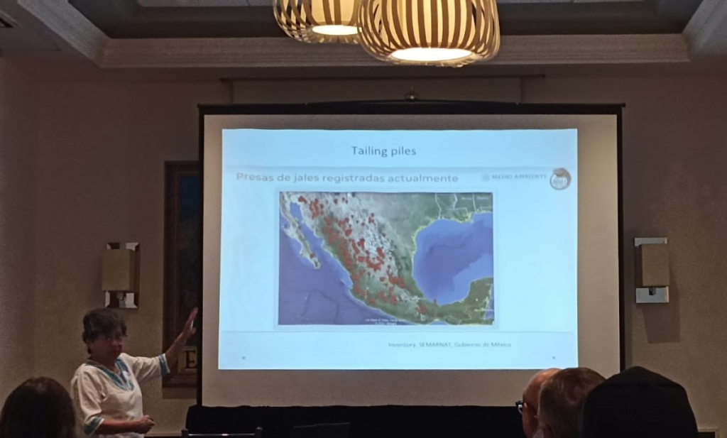 María Aurora Armienta expone sobre arsénico y flúor en el International ...